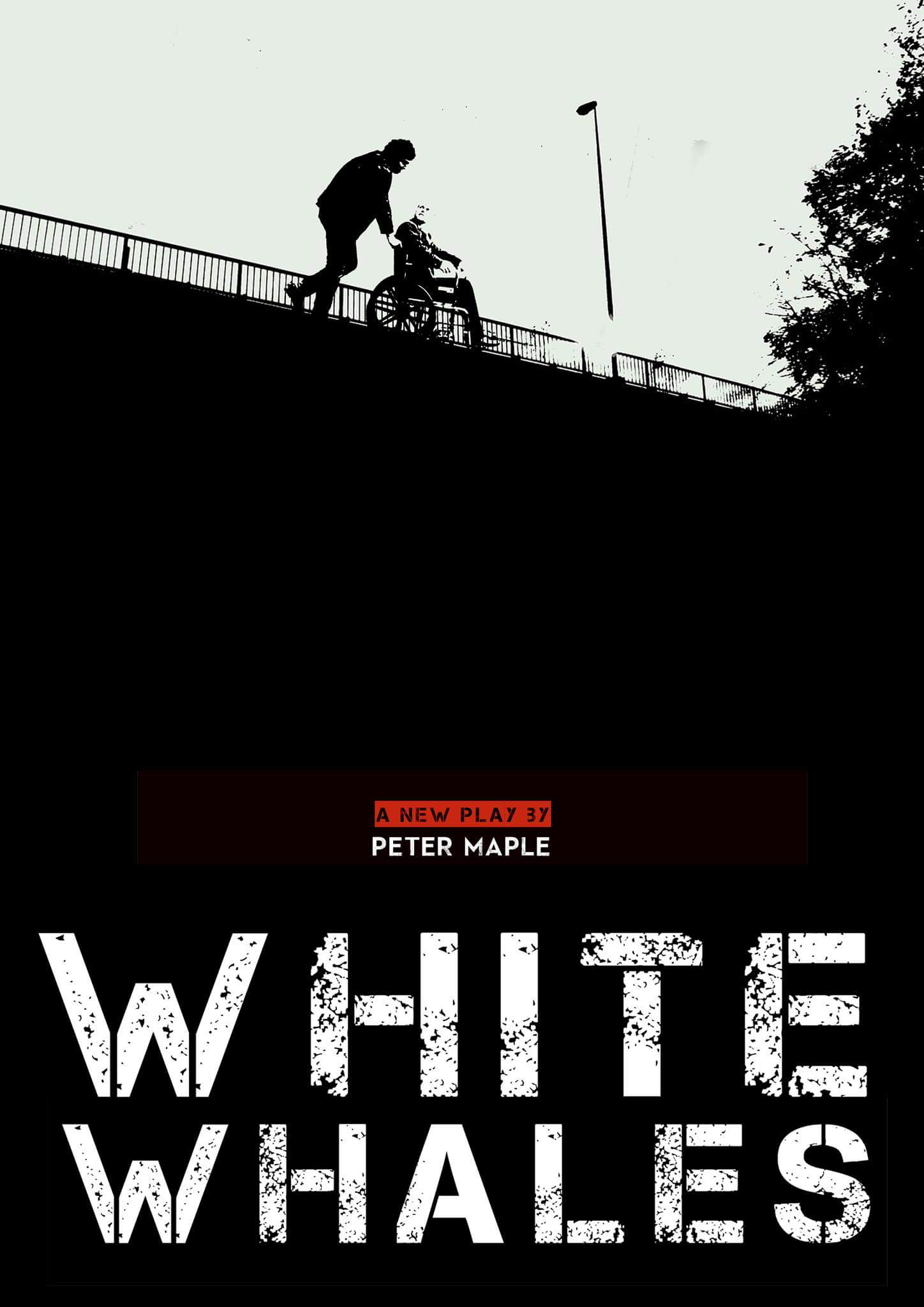 PRESS & PROMO – Peter Maple