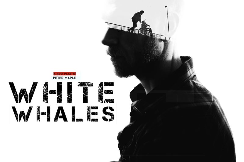 PRESS & PROMO – Peter Maple